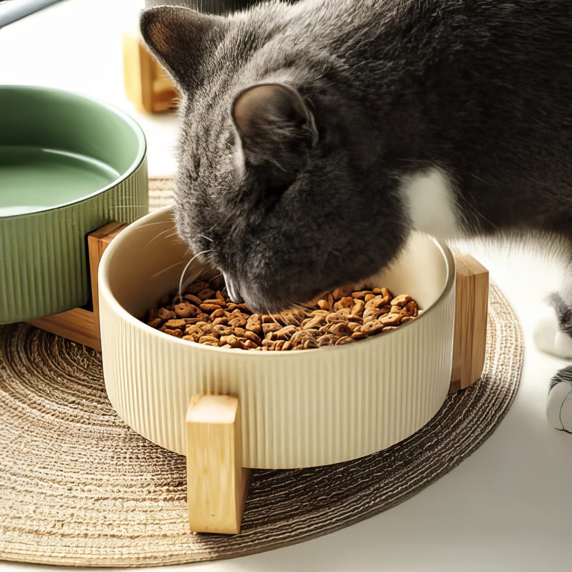 BOWLS – PAWS