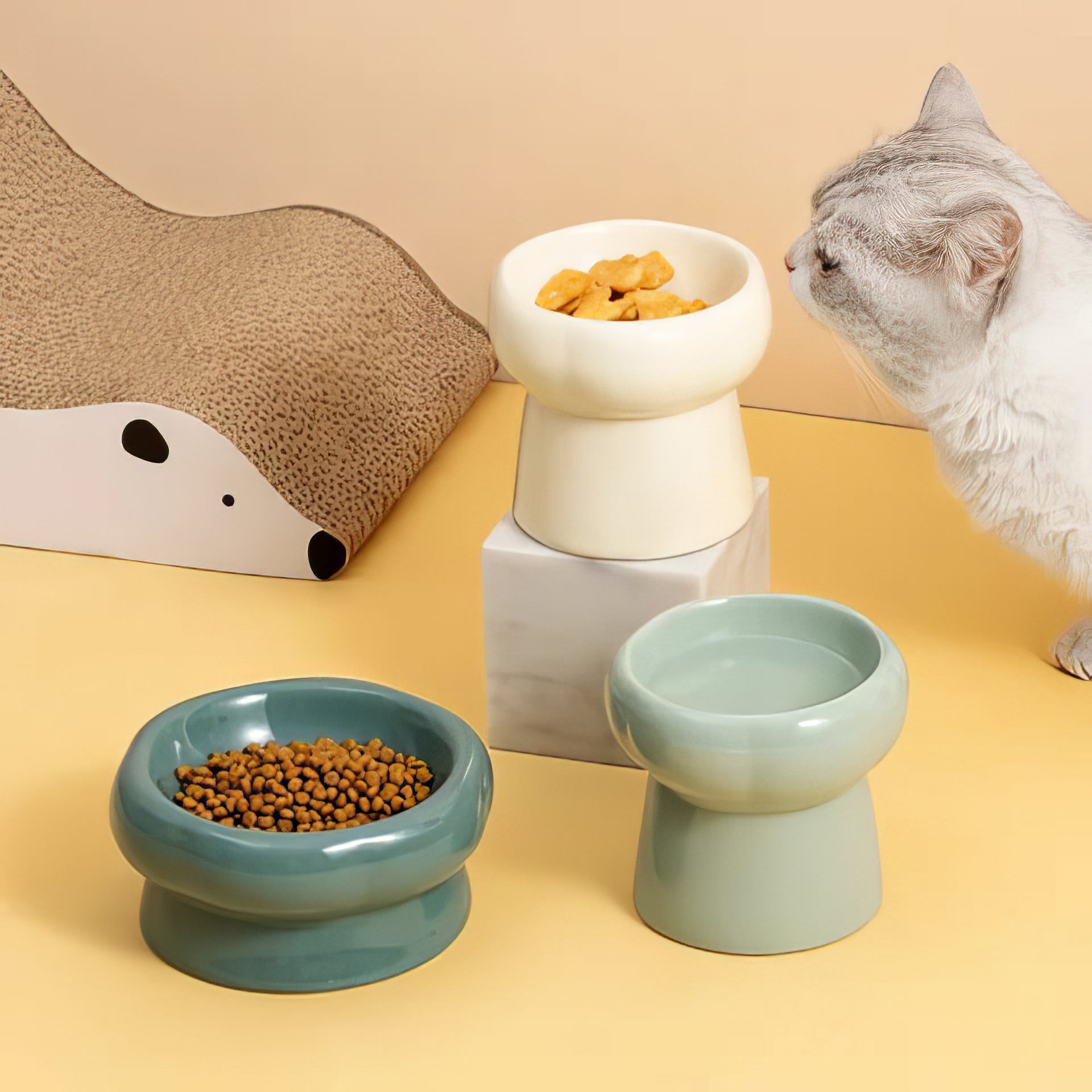 Ceramic Bowl – PAWS